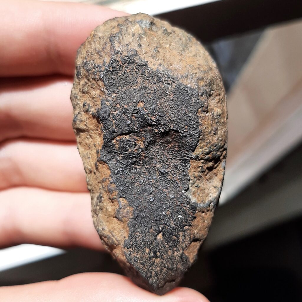 Allende meteorite. CV3 chondrite. Individual