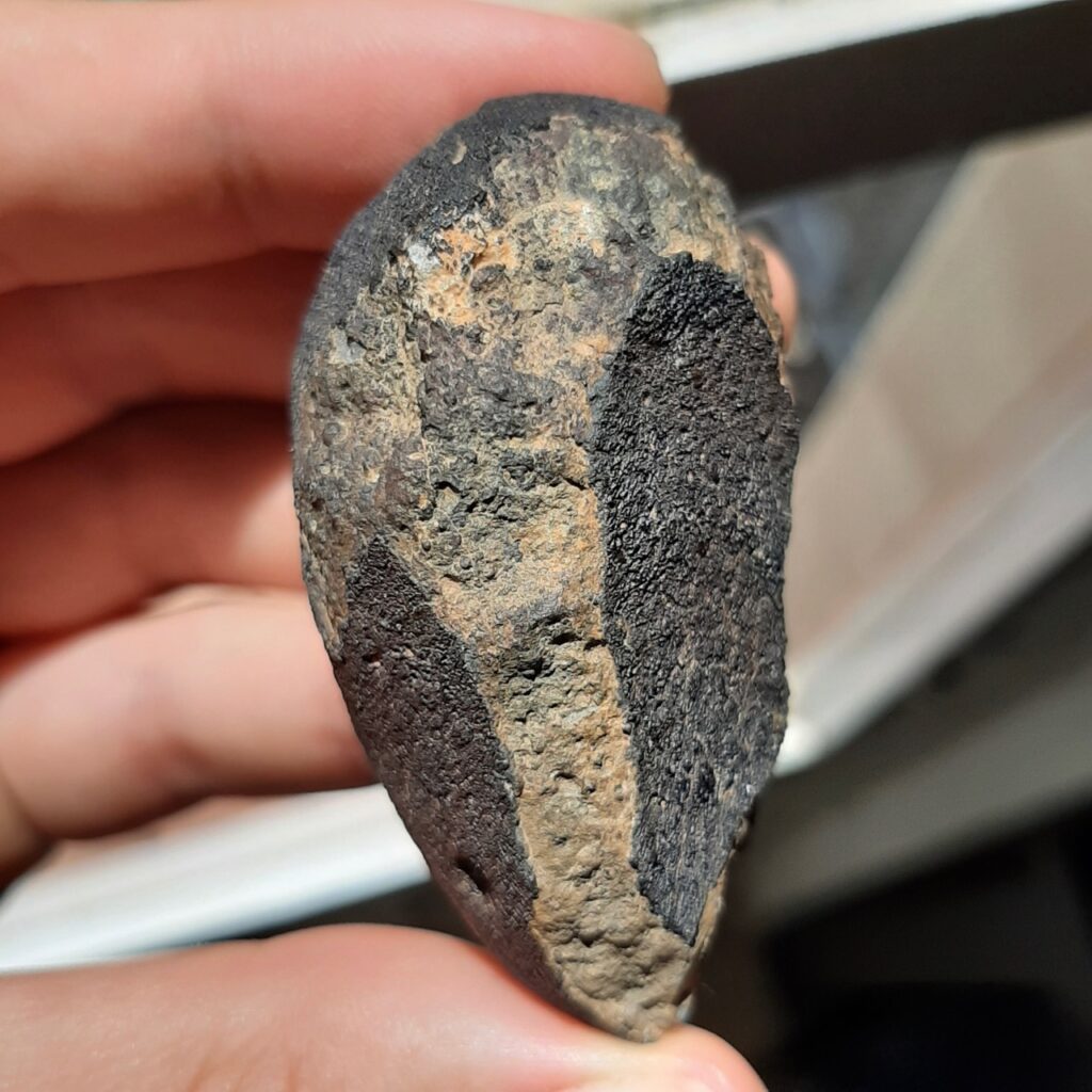 Allende meteorite. CV3 chondrite. Individual