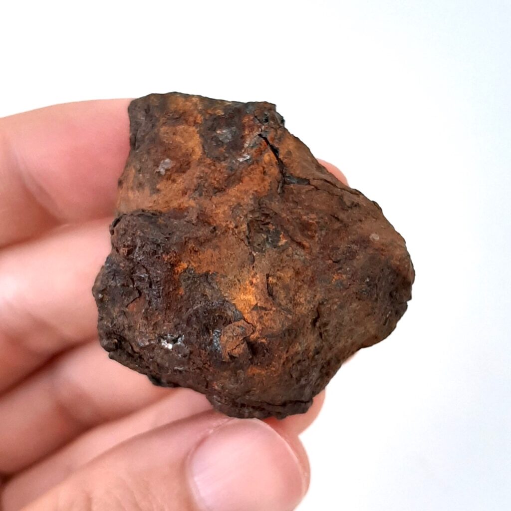Brenham meteorite. Pallasite from Kansas