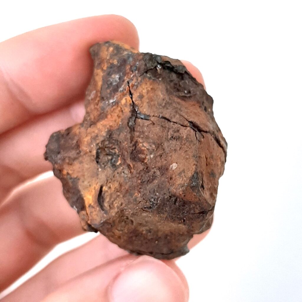 Brenham meteorite. Pallasite from Kansas