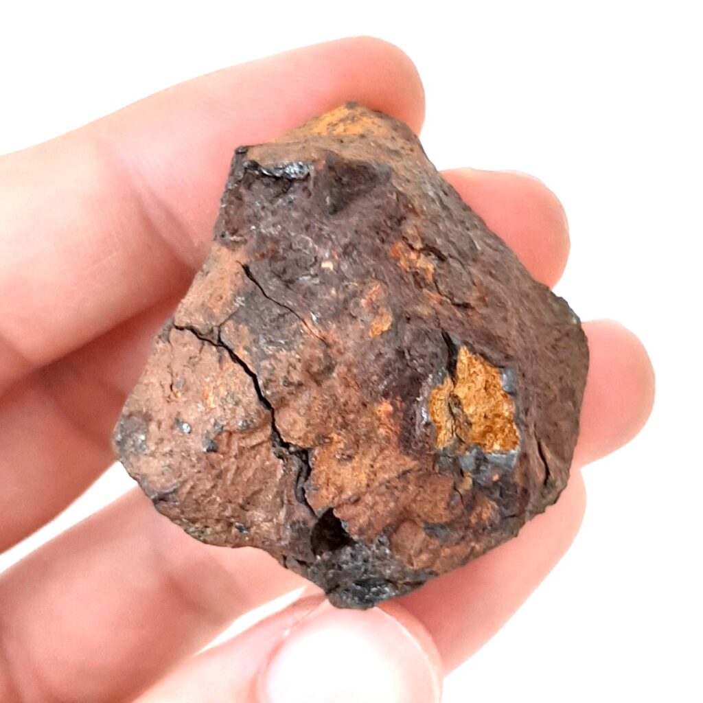 Brenham meteorite. Pallasite from Kansas