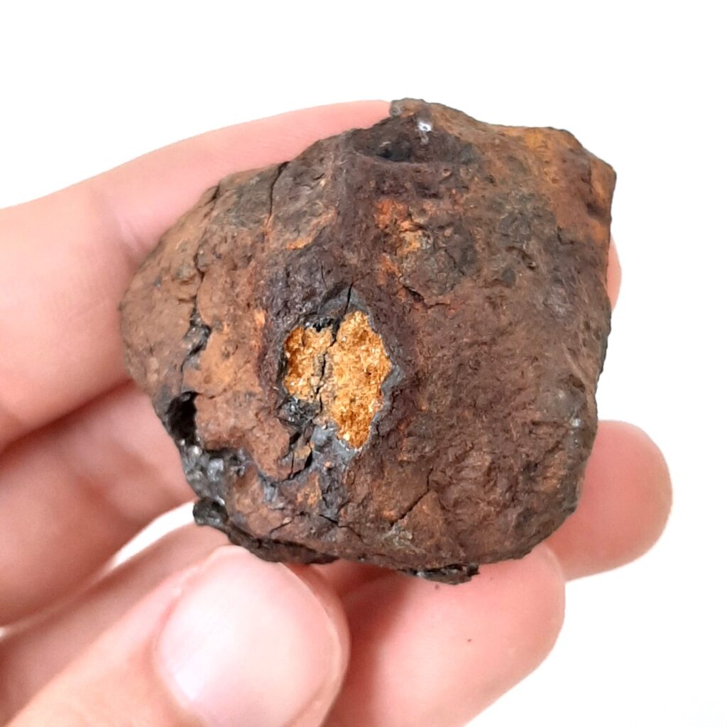 Brenham meteorite. Pallasite from Kansas