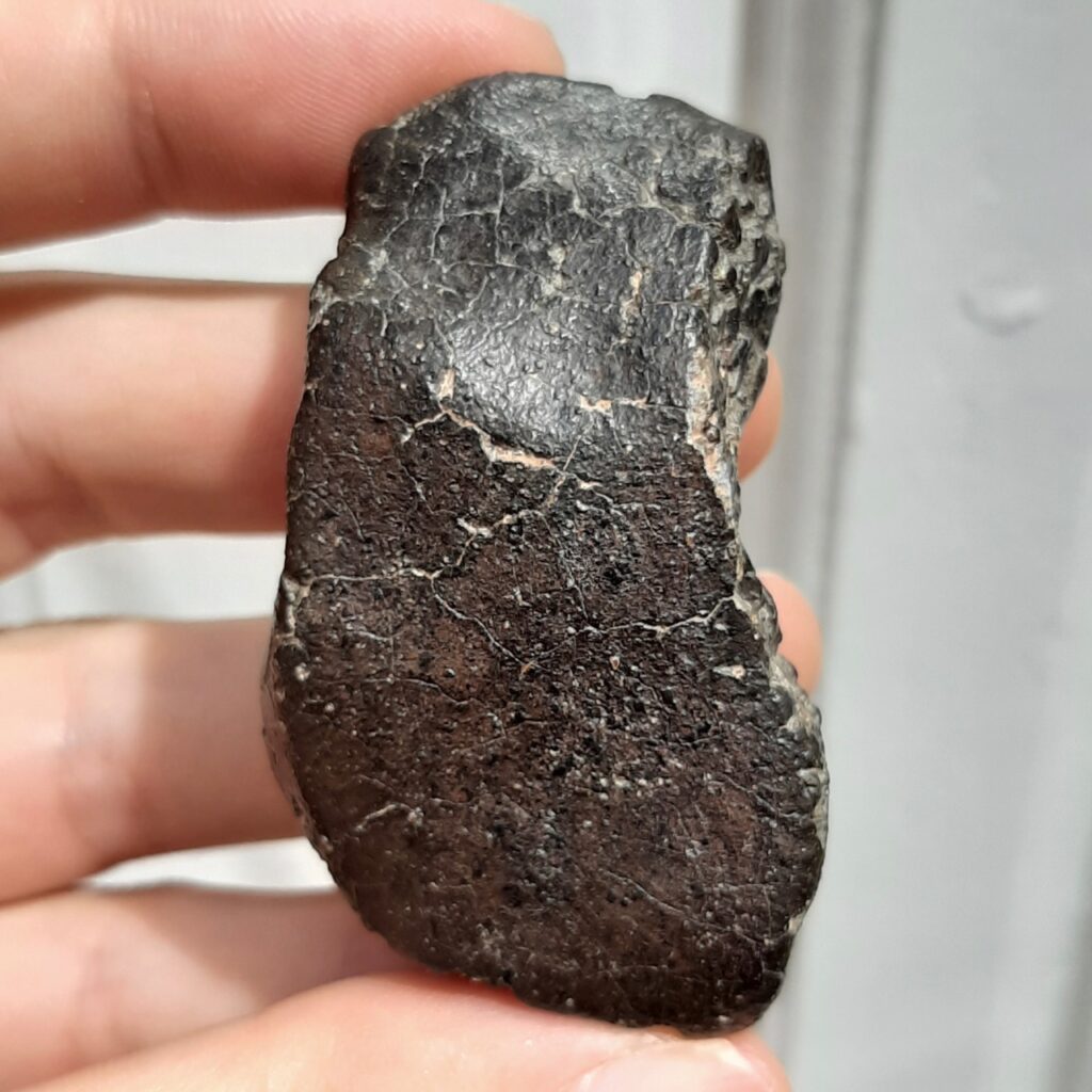 Main mass. NWA 14209 meteorite. Eucrite. Fusion crust