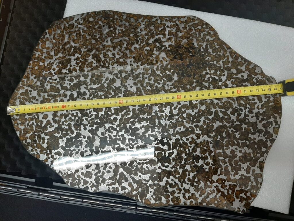 Brenham meteorite. Museum Pallasite. 46cm diameter